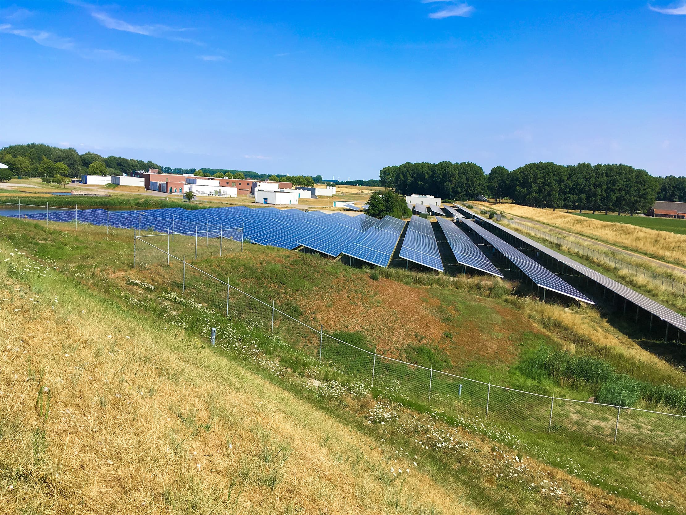 Eneco Braakman solar park