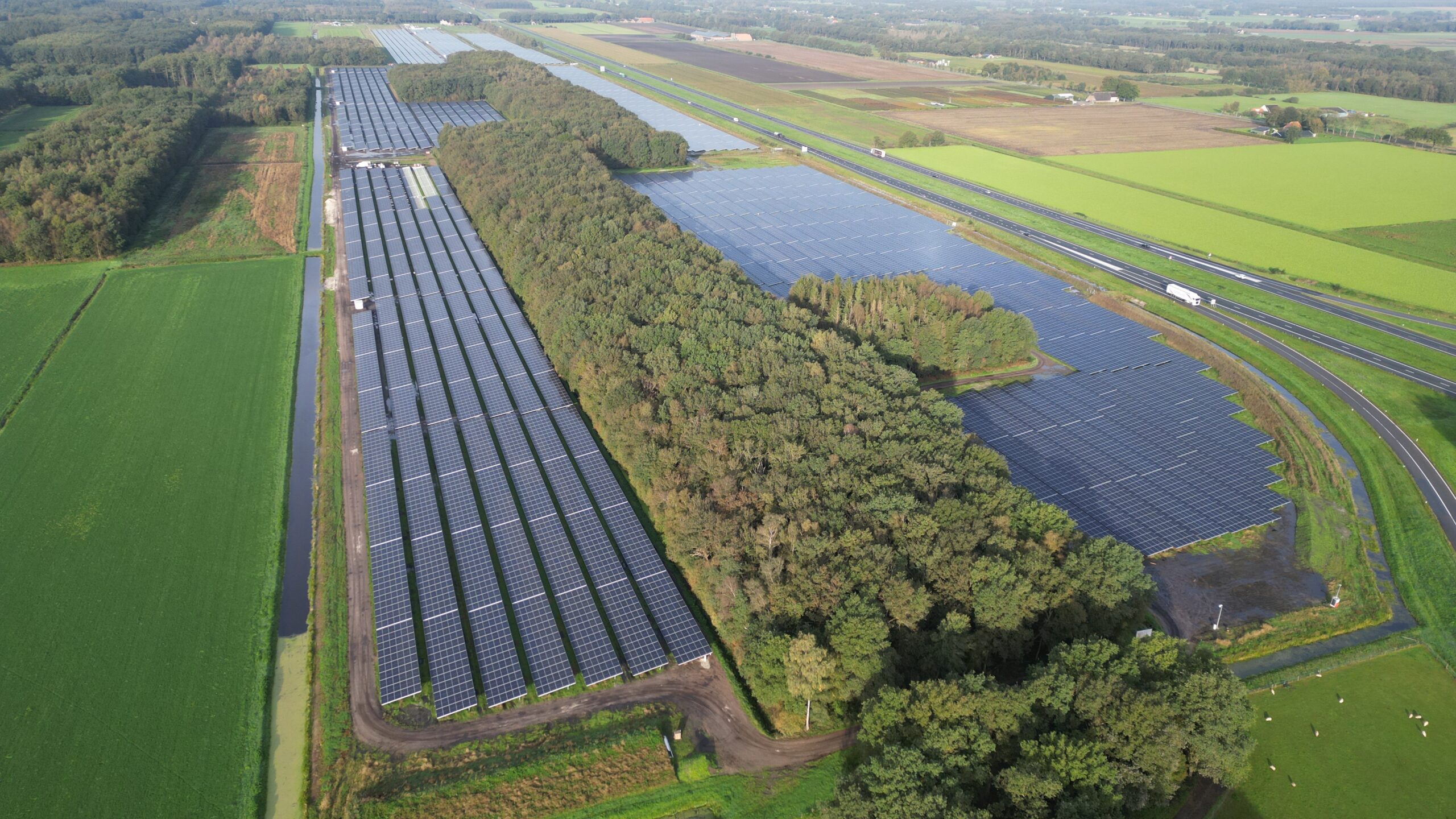 Hollandscheveld solar park - Goldbeck Solar GmbH